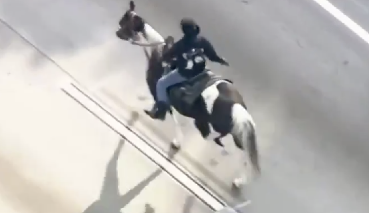 Chicago's 'Dreadhead Cowboy' arrested - CGTN