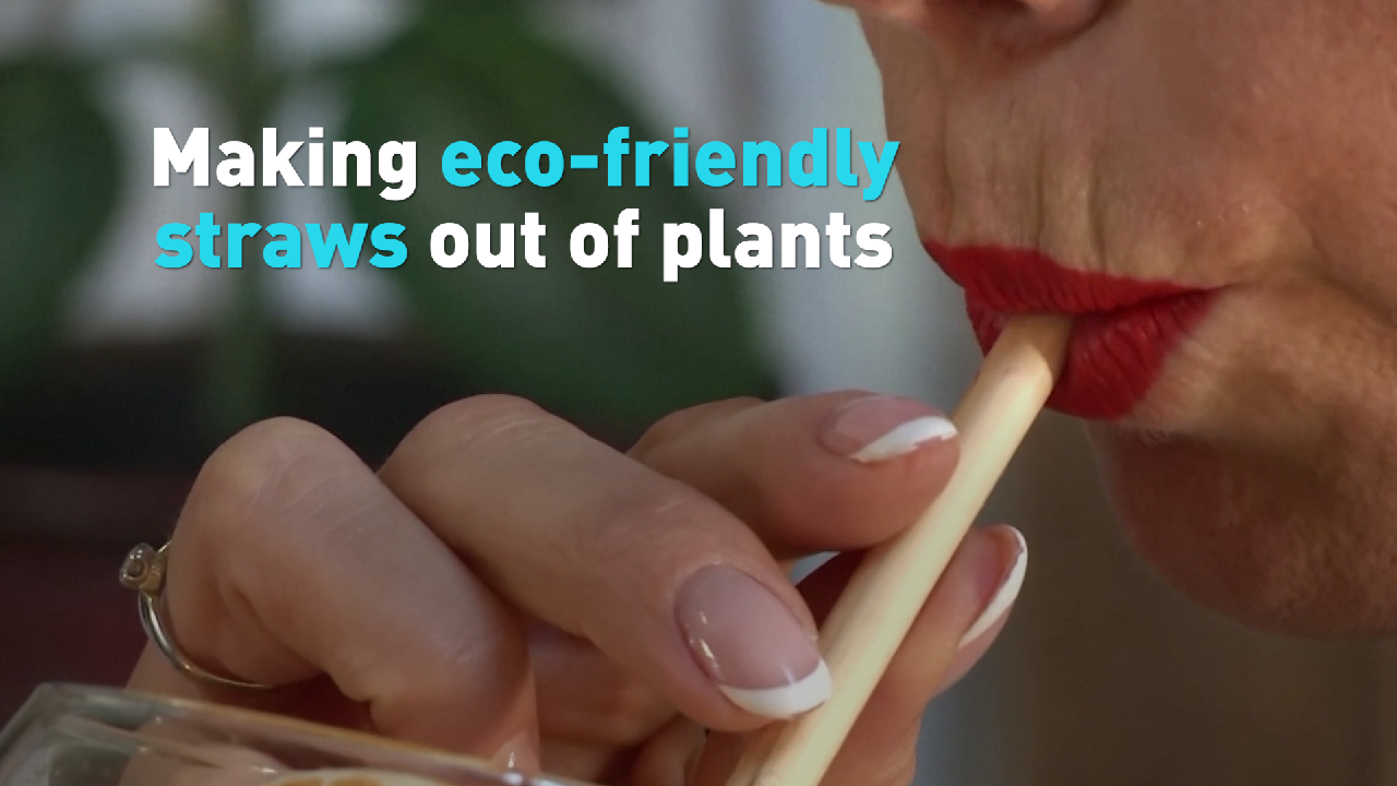 Making eco-friendly straws out of plants - CGTN