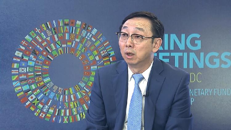 IMF official on global challenges in poverty and climate change - CGTN