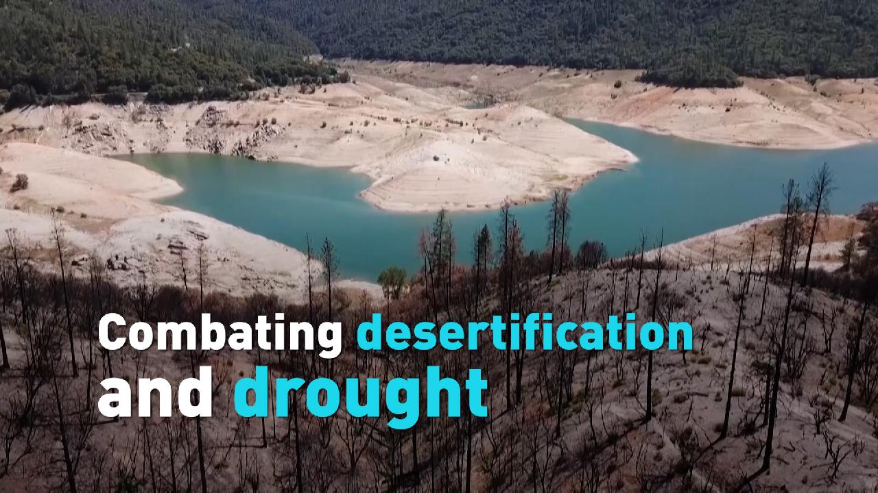 Combating desertification and drought - CGTN