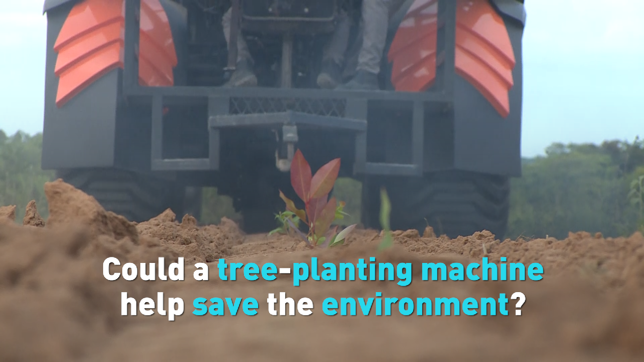 Could a tree-planting machine help save the environment? - CGTN