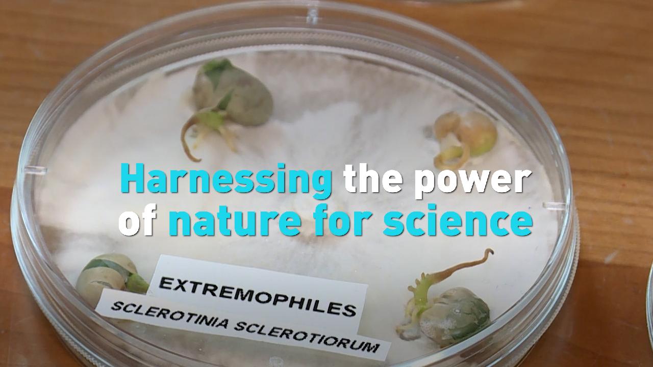 Harnessing the power of nature for science - CGTN