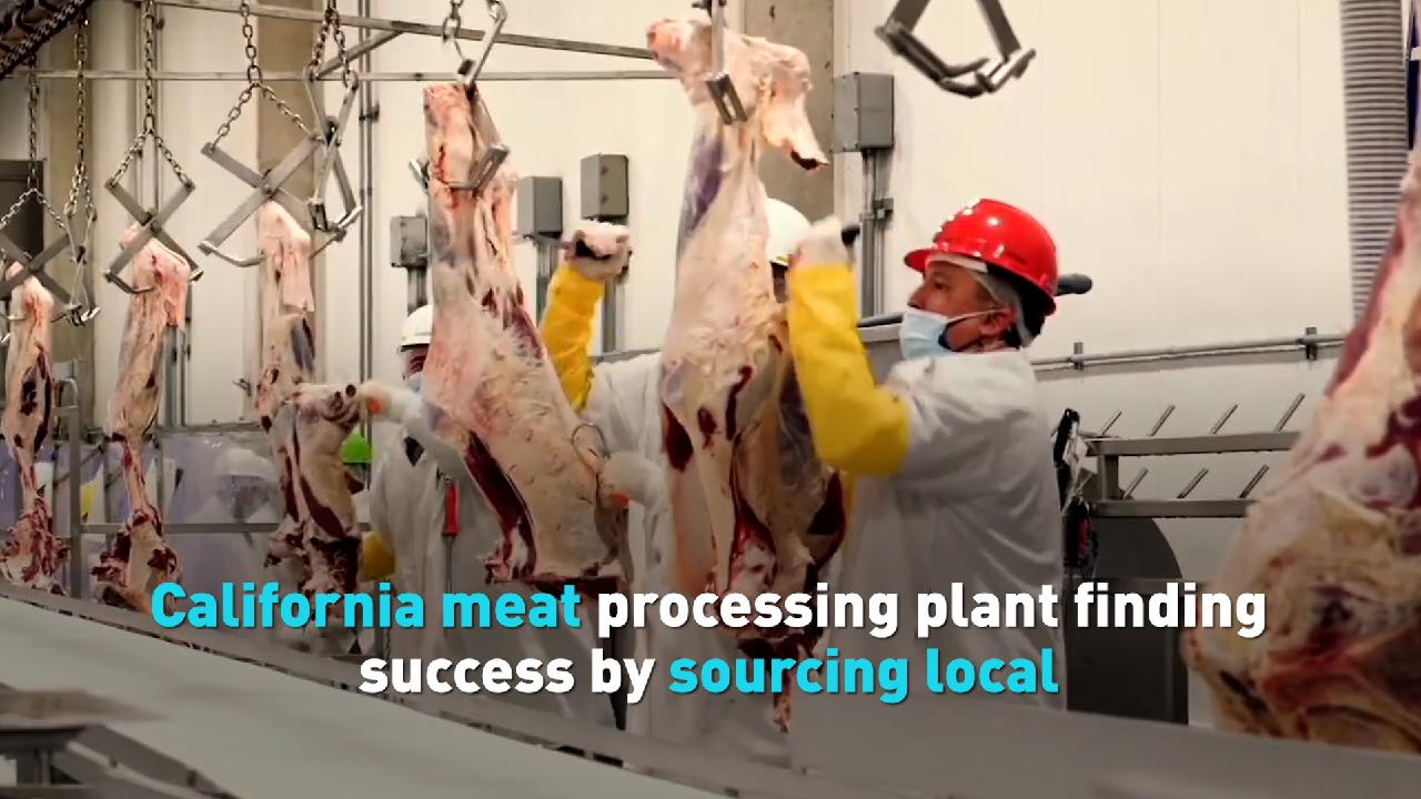 California meat processing plant finding success by sourcing local - CGTN