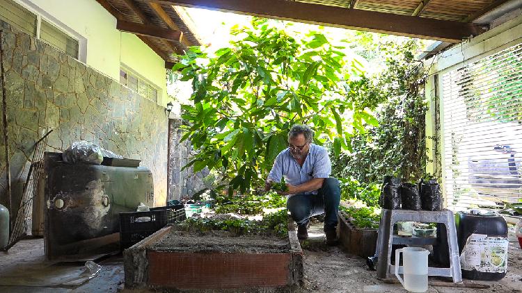 Homegrown coffee for Venezuela's slums - CGTN