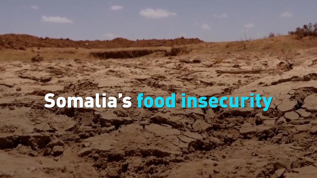 Somalia's food insecurity - CGTN