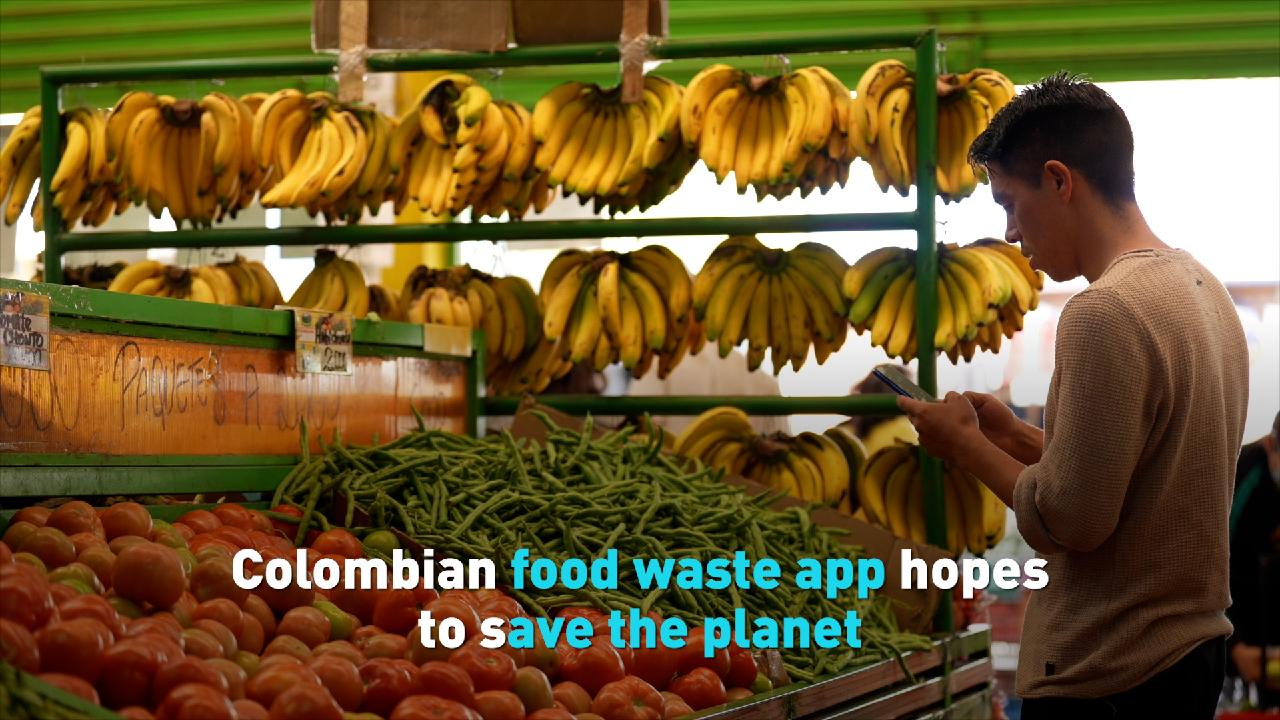 Colombian food waste app hopes to save the planet - CGTN