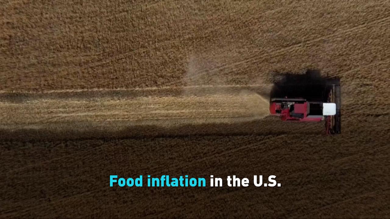 Food inflation in the U.S. - CGTN