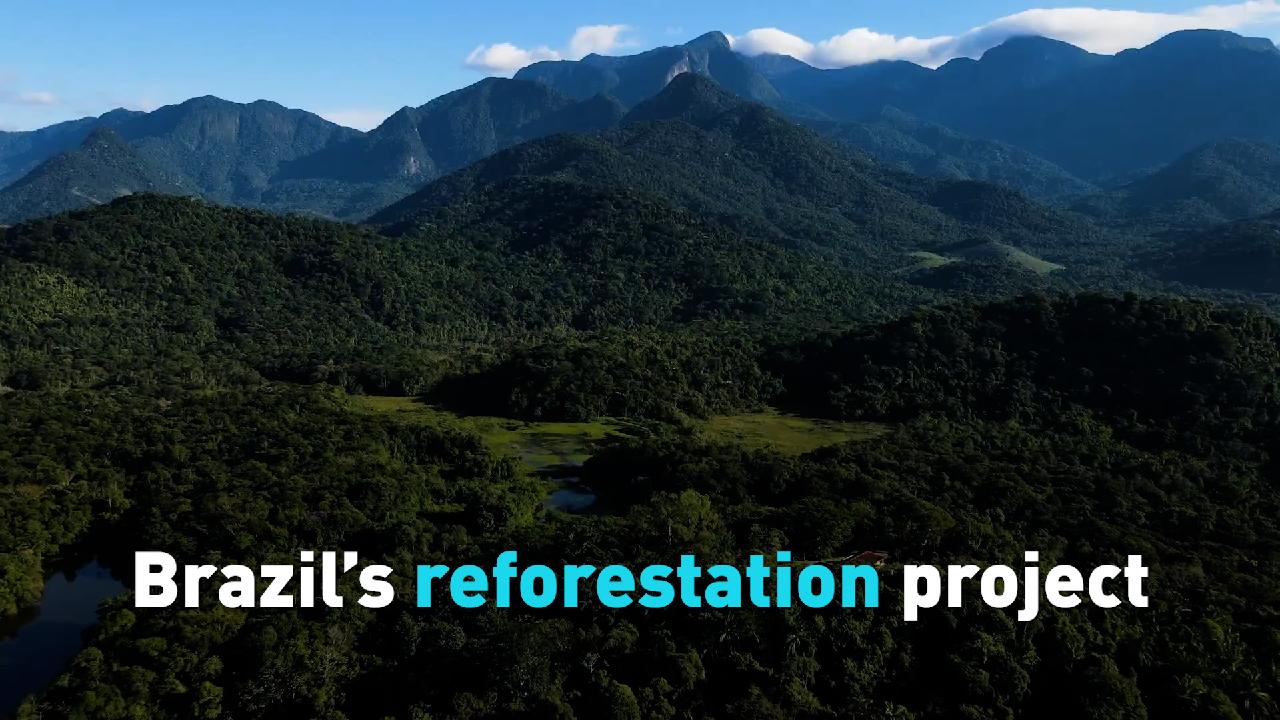Brazil’s reforestation project - CGTN