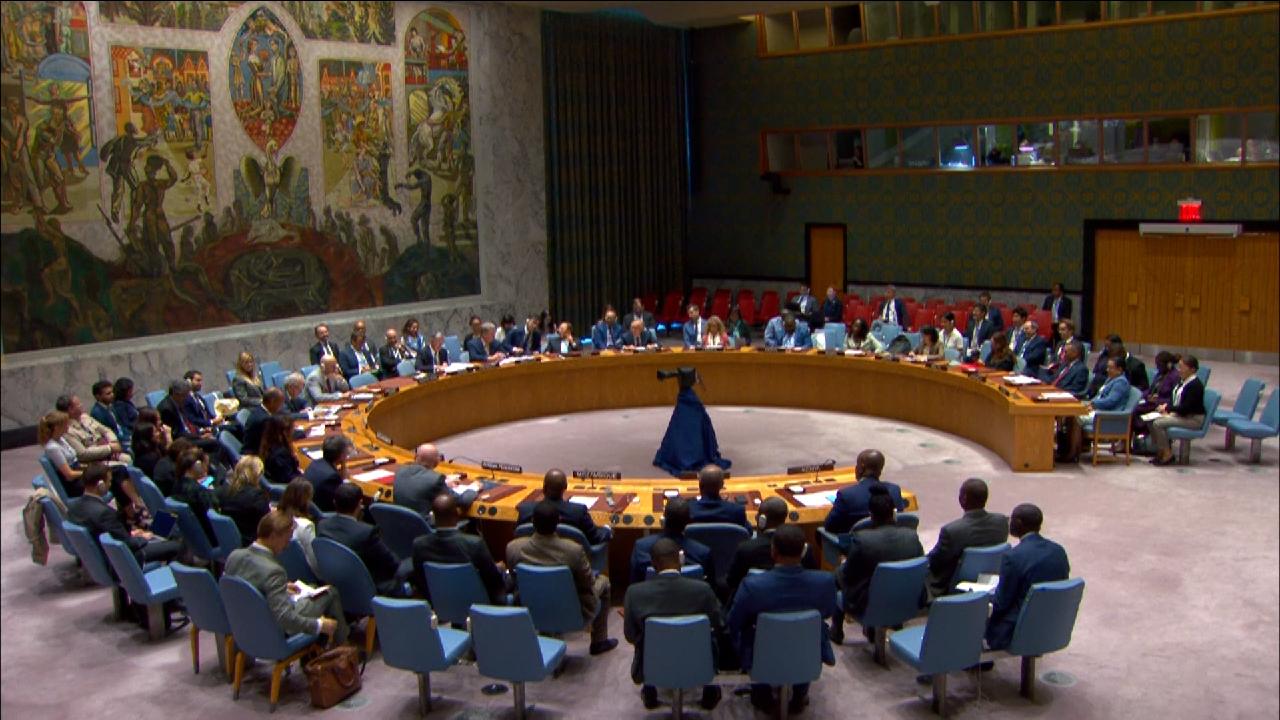 Explainer: Multinational Security Support mission to Haiti - CGTN