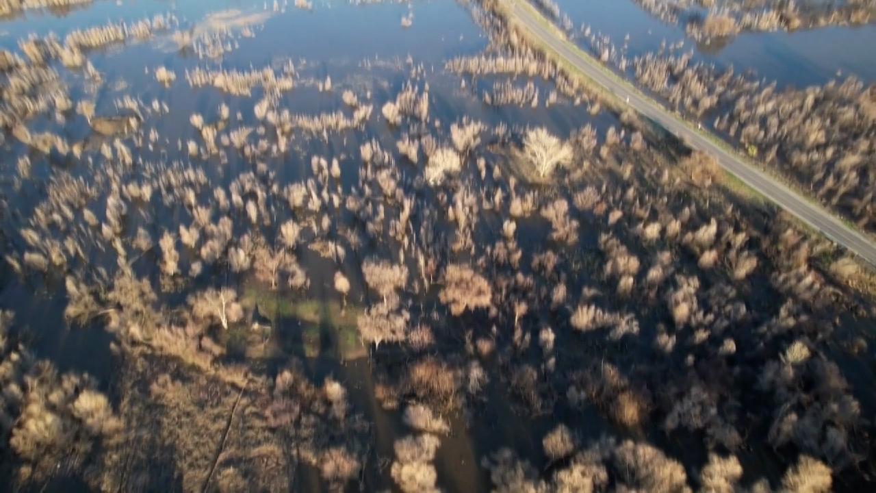 Toxic algae blooms threaten water ecosystems in the U.S. - CGTN