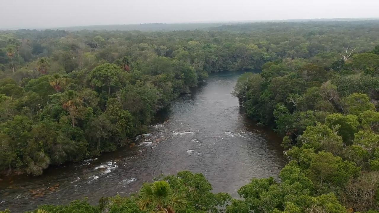 Saving Brazil's rainforest to be addressed at COP28 - CGTN