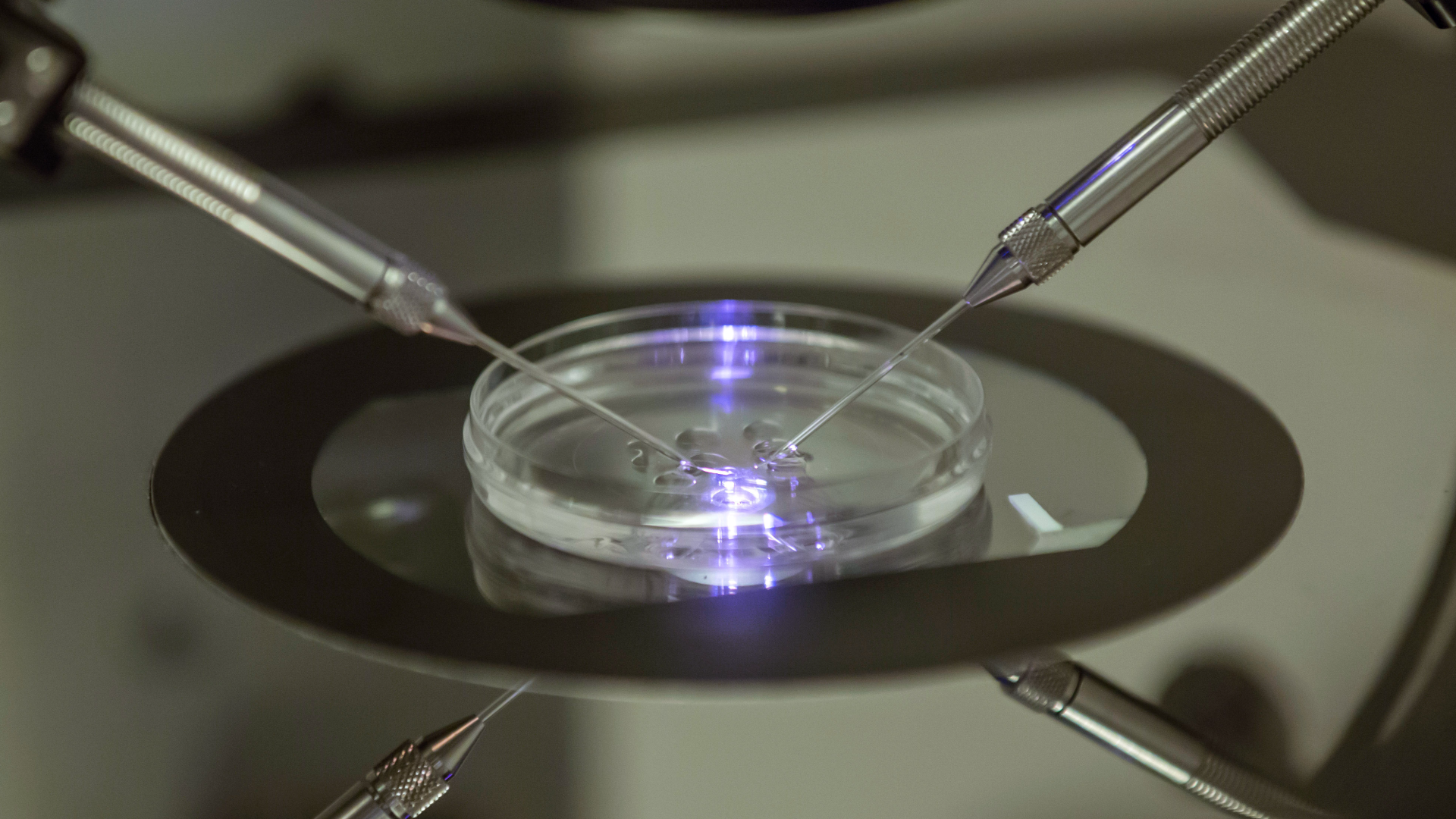 Alabama Supreme Court says an embryo is a person - CGTN