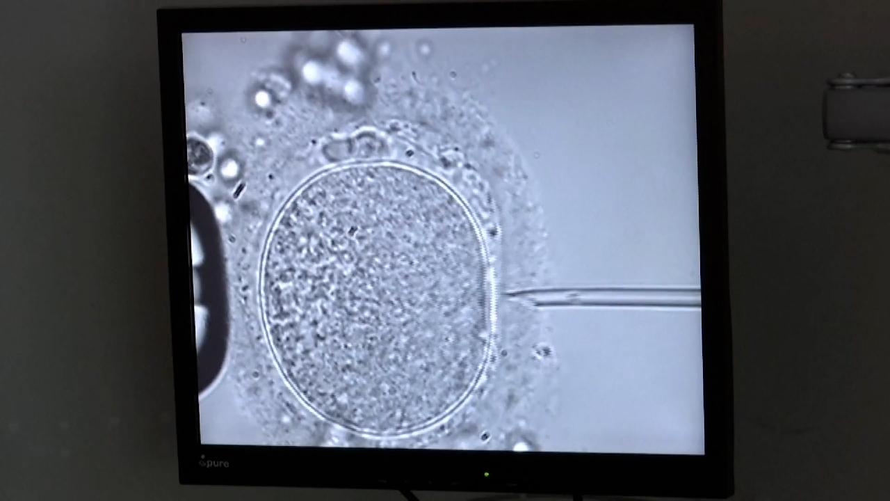 Alabama ruling on frozen embryos concerns reproductive rights advocates ...