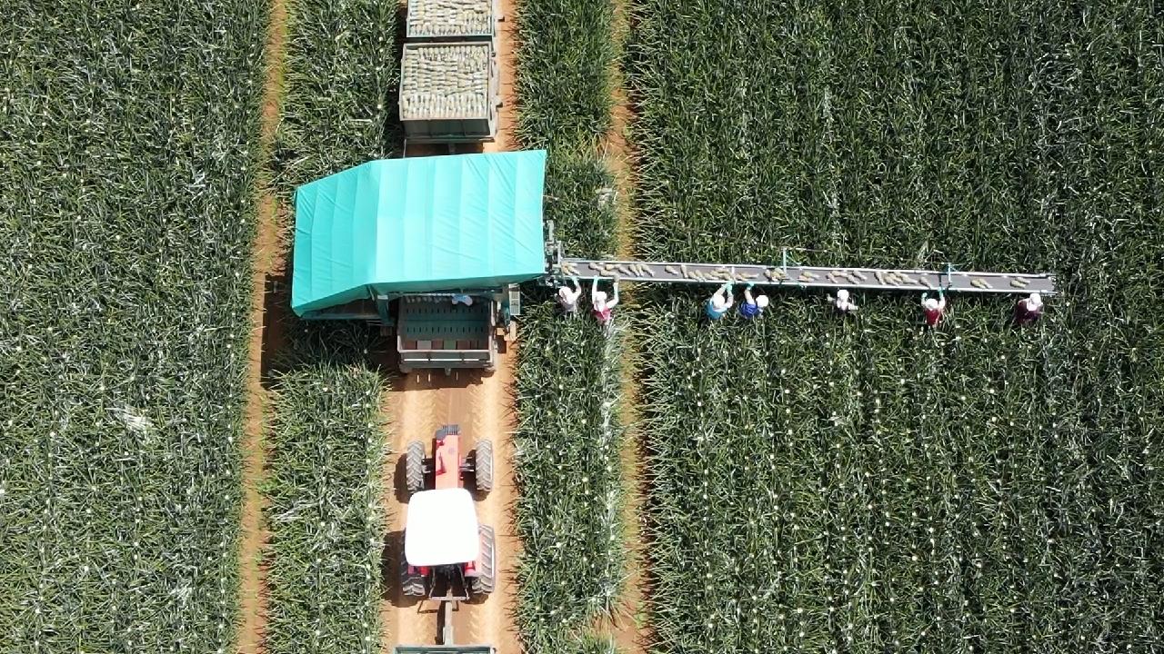 Costa Rica and China see success with free trade agreement - CGTN