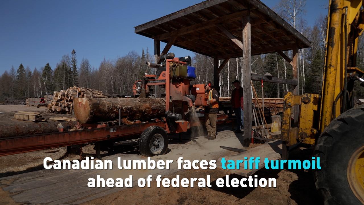 Canadian lumber faces tariff turmoil ahead of federal election - CGTN