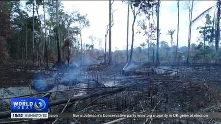 Amazon rainforest on fire sets conflict between government and NGO's - CGTN