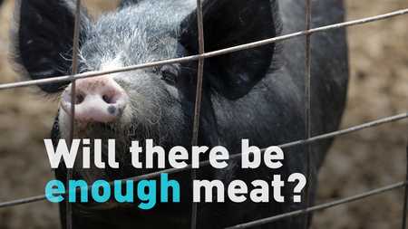 Will there be enough meat in U.S.? - CGTN